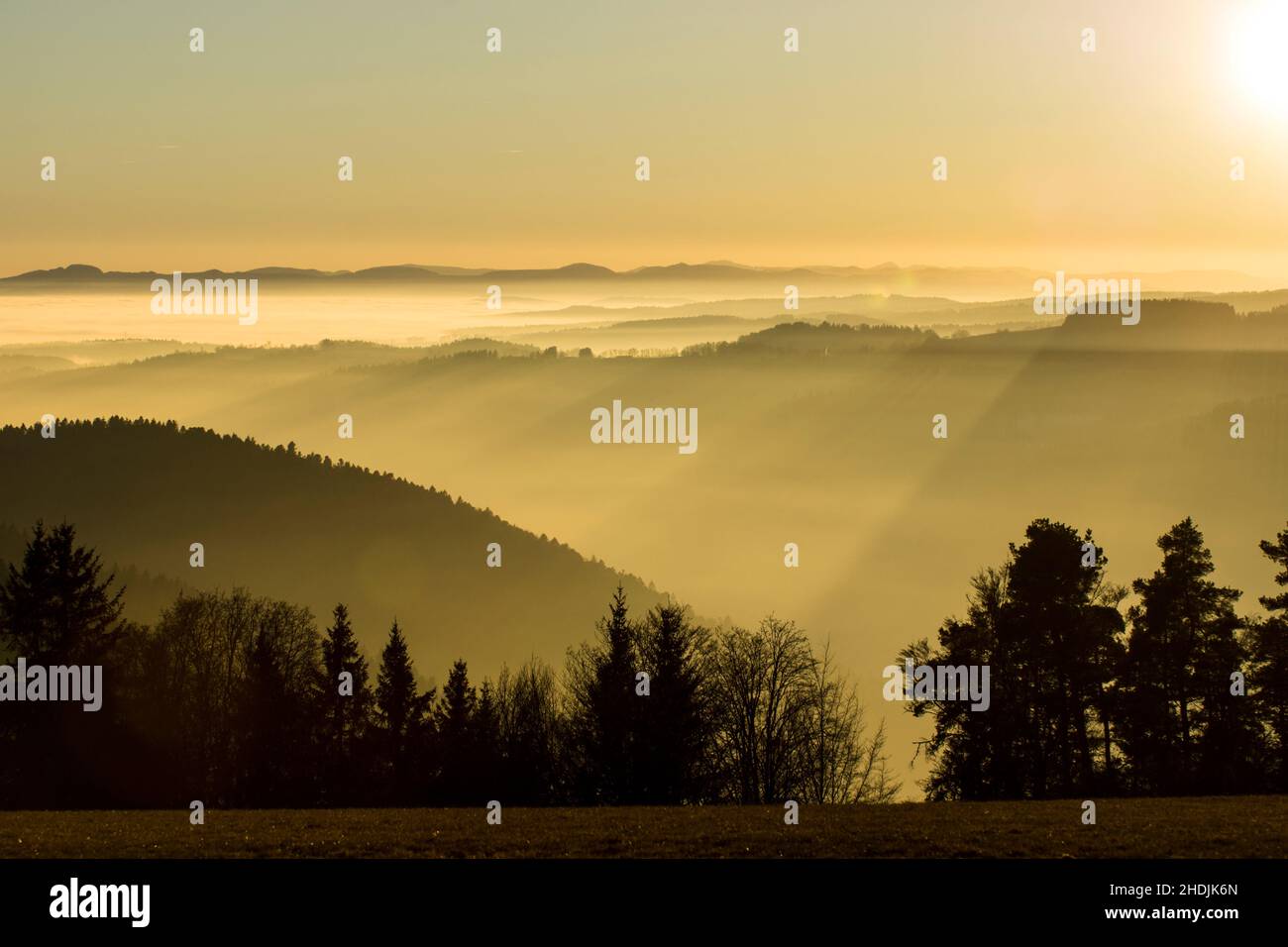 black forest, light moods, black forests, wood, light Stock Photo - Alamy