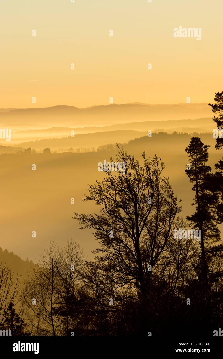 sunset, sunlight, black forest, sunsets, sun ray, sun rays, sunbeam ...