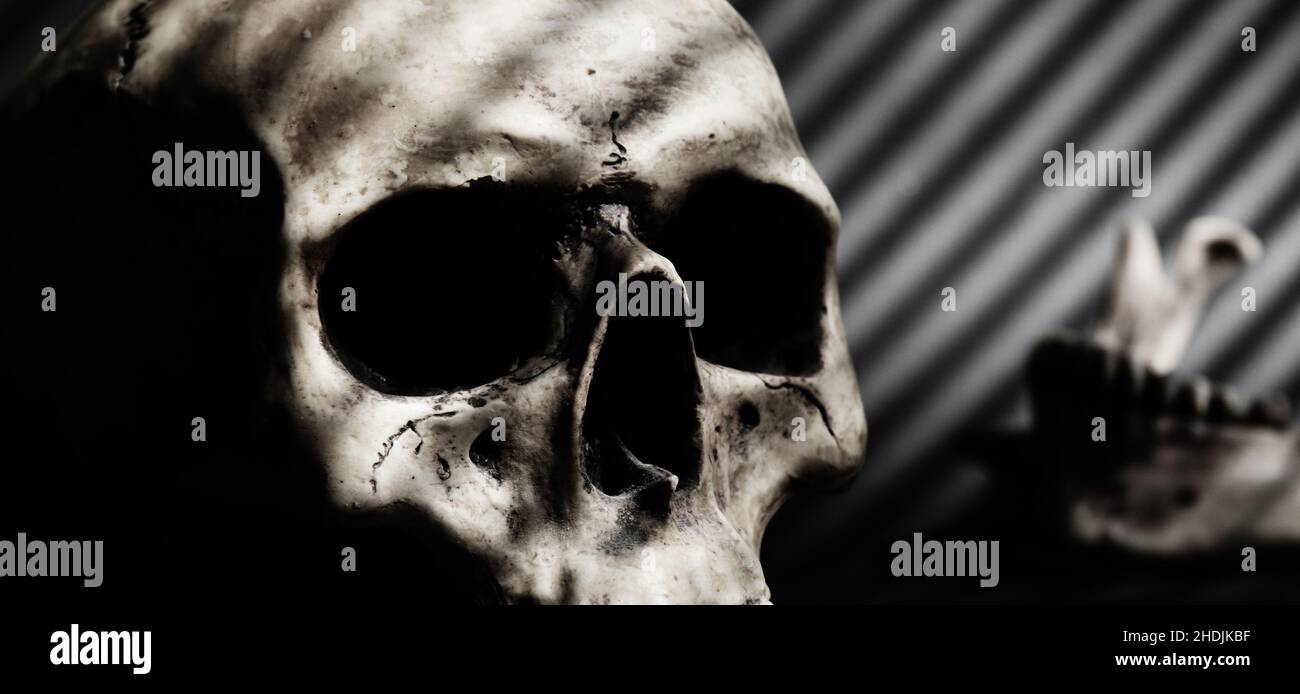 Black and white skull hi-res stock photography and images - Alamy