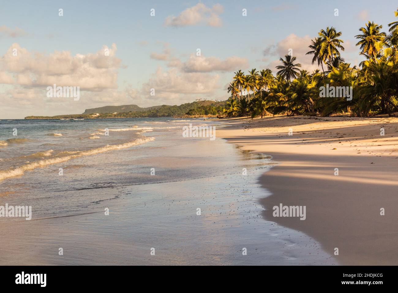 Playa rincon coconut hi-res stock photography and images - Alamy