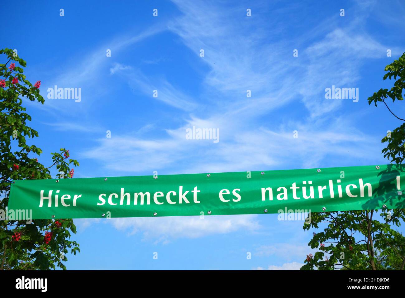 Bios text hi-res stock photography and images - Alamy