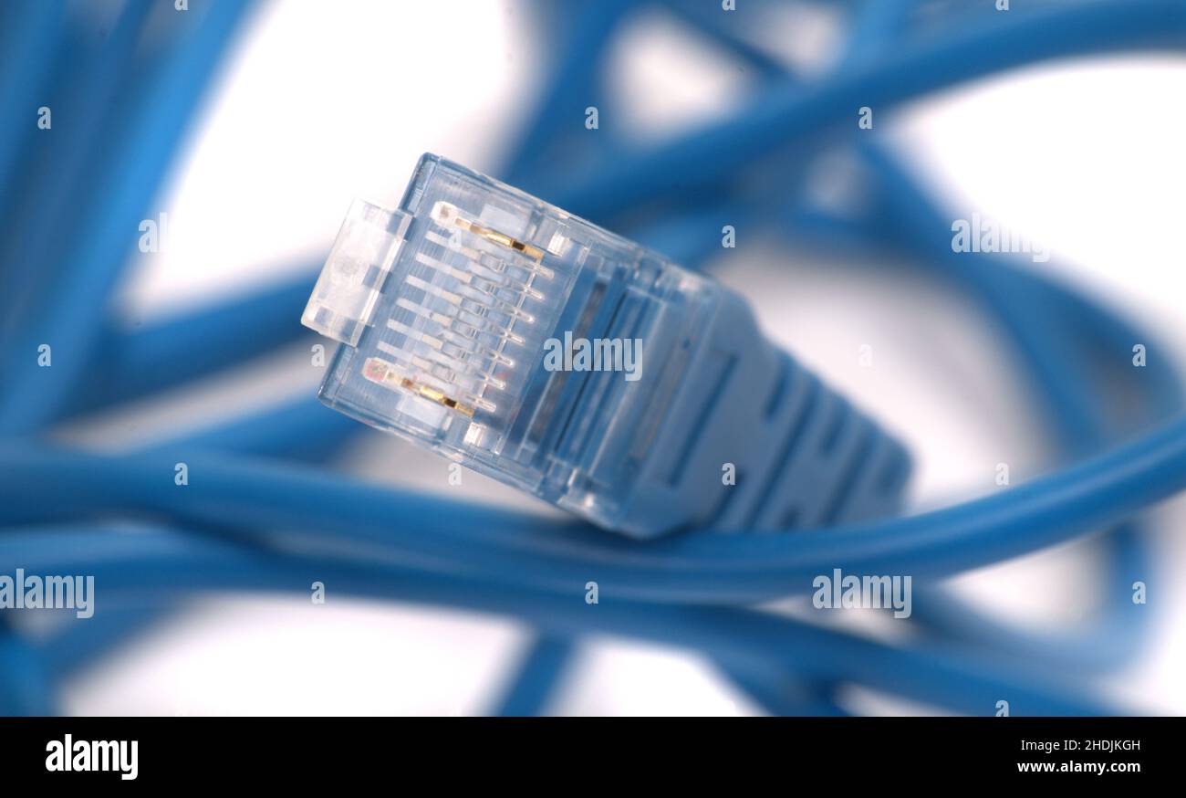 plug, network connector, plugs, network connectors Stock Photo - Alamy