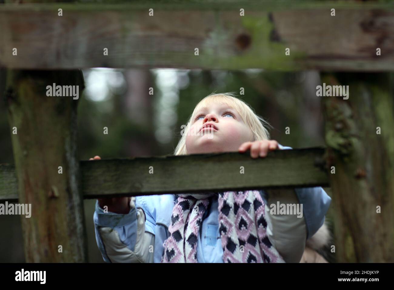 girl, looking up, girls, looking ups Stock Photo - Alamy