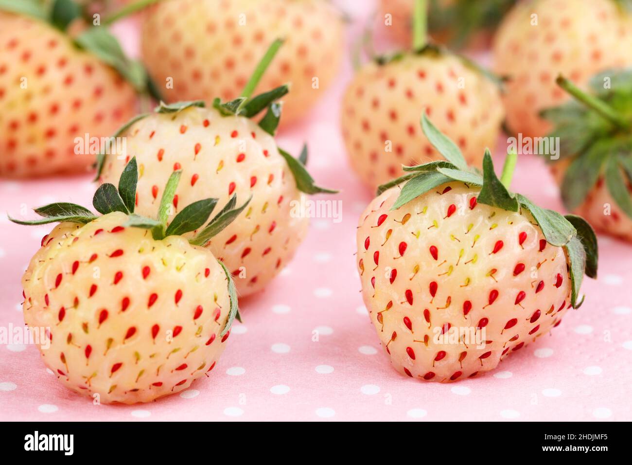 variety, breeding, pineberry, varieties Stock Photo - Alamy