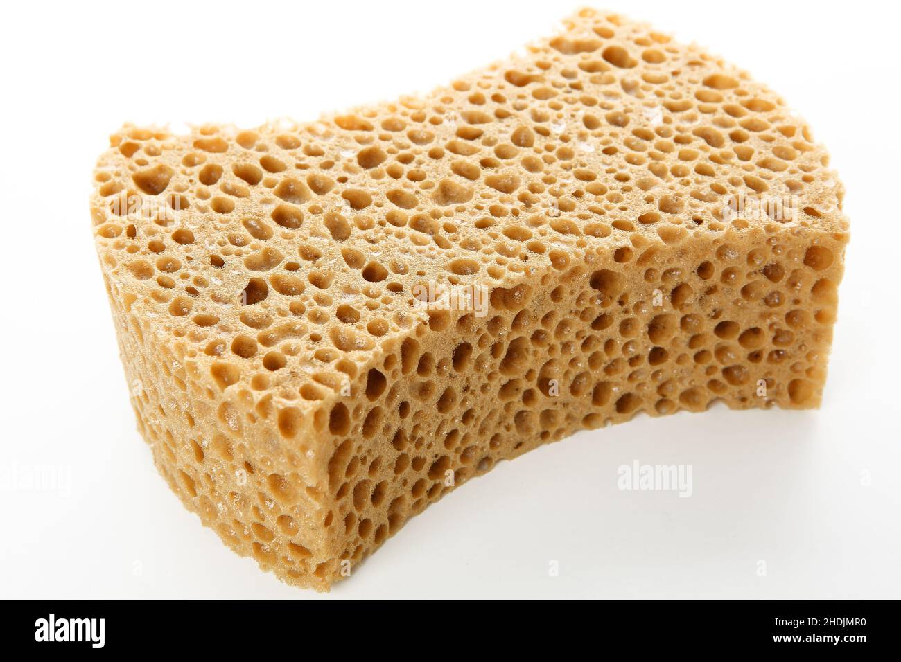 sponge, natural sponge, sponges, natural sponges Stock Photo - Alamy