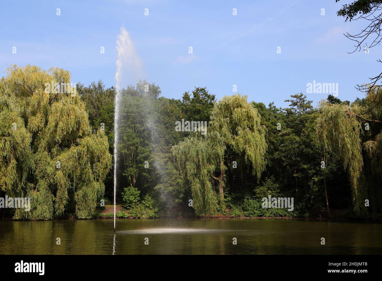 park, fountain, willow tree, parks, fountains, willow trees Stock Photo ...
