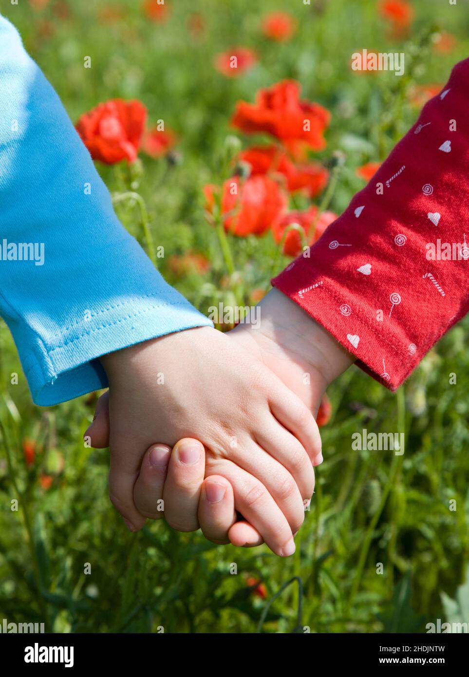 friendship, togetherness, hand, childhood, friendships, cohesions ...