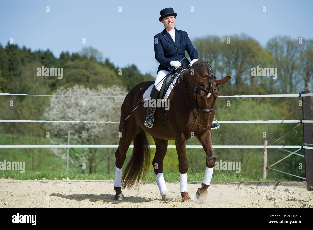 Middle aged woman horse riding hi-res stock photography and images - Alamy