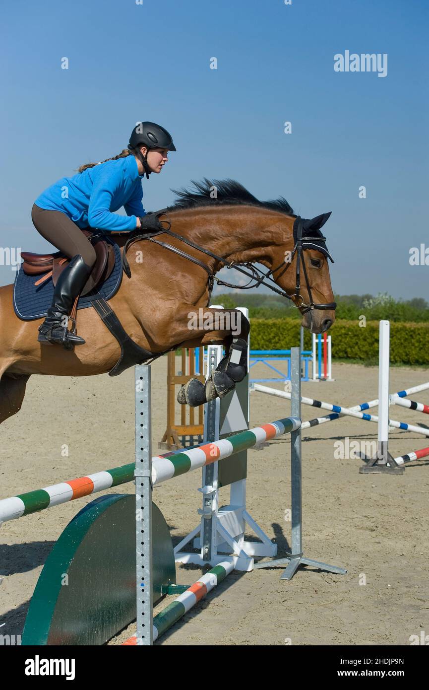 Horseracing people horse animal hi-res stock photography and images - Alamy