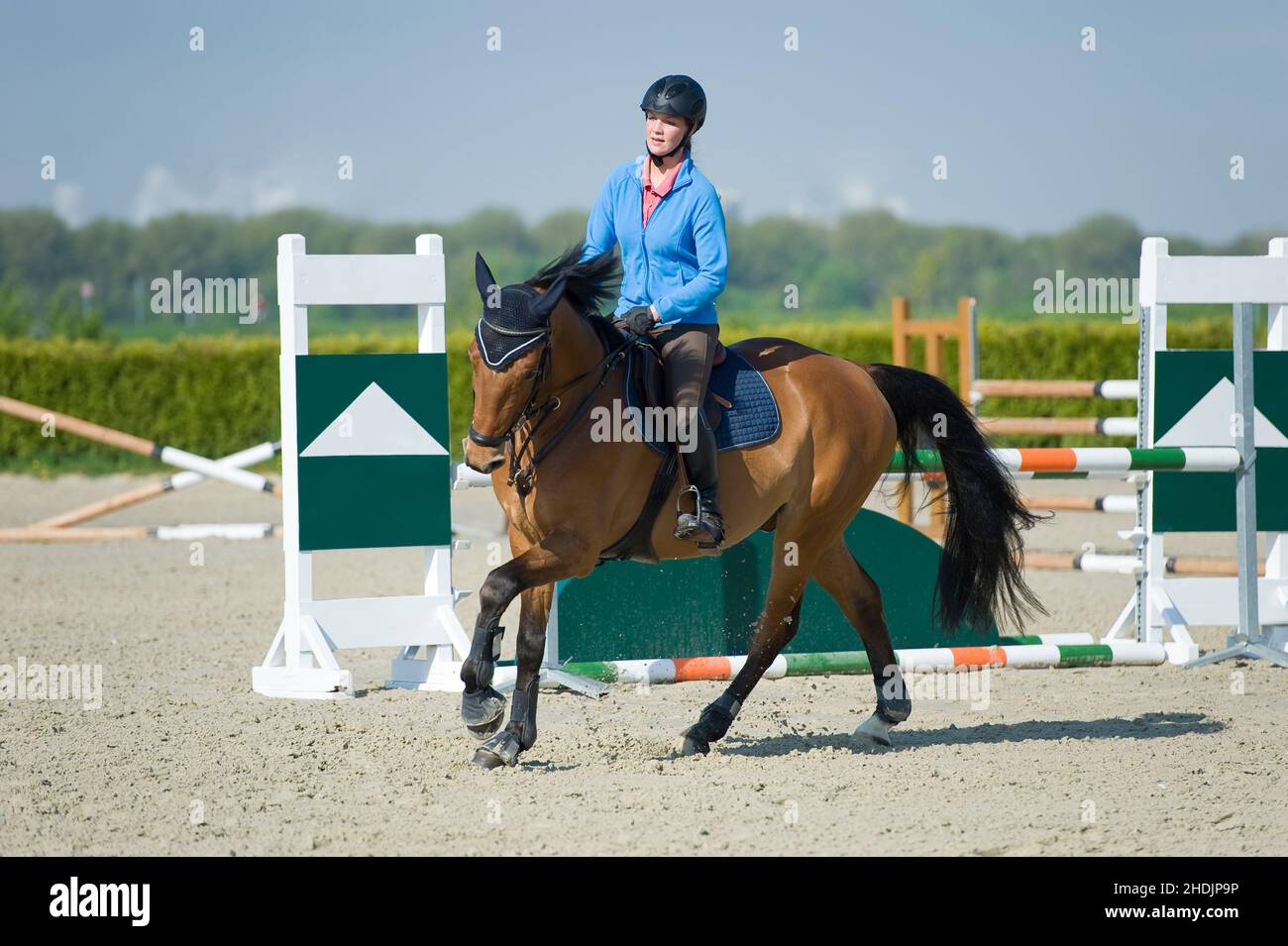 riding, horseriding, riding school, ride, riding lesson, riding lessons ...