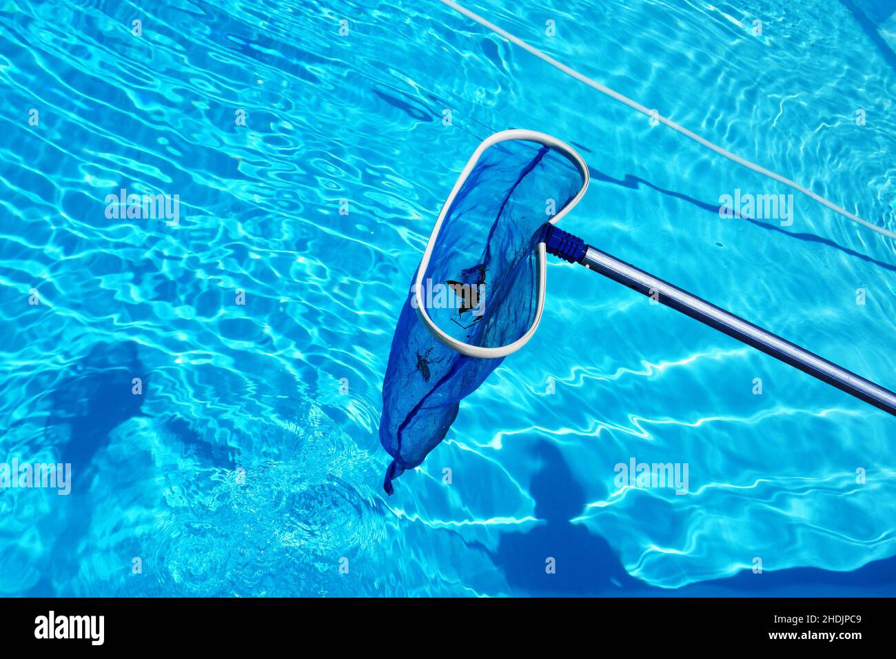 swimming pool, clean, fishing net, pools, cleans, pure, fishing ntes ...