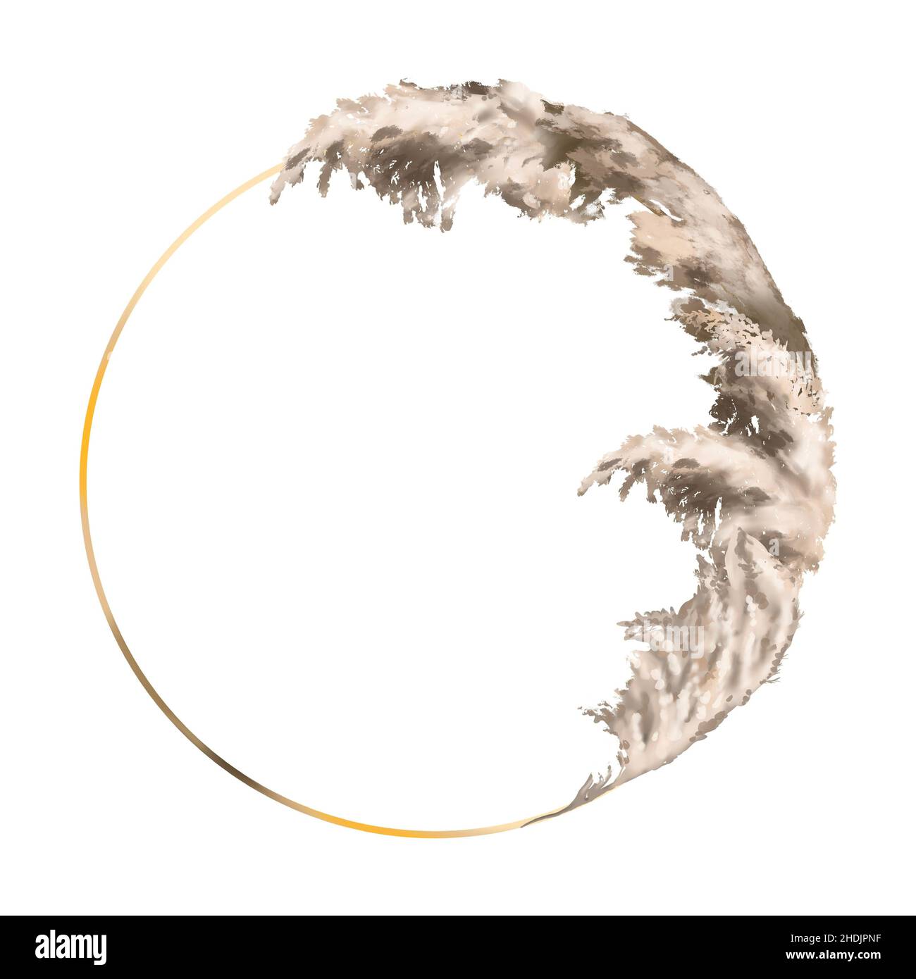 Watercolor frame made of pampas grass. beautiful boho frame Stock Photo ...