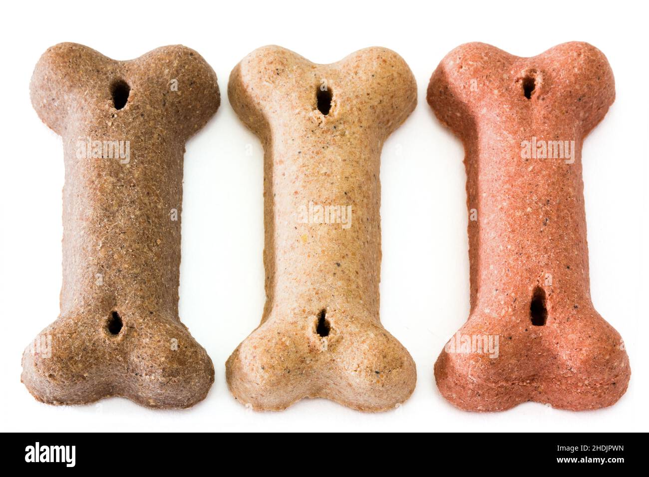 Animal bone items Cut Out Stock Images & Pictures - Alamy