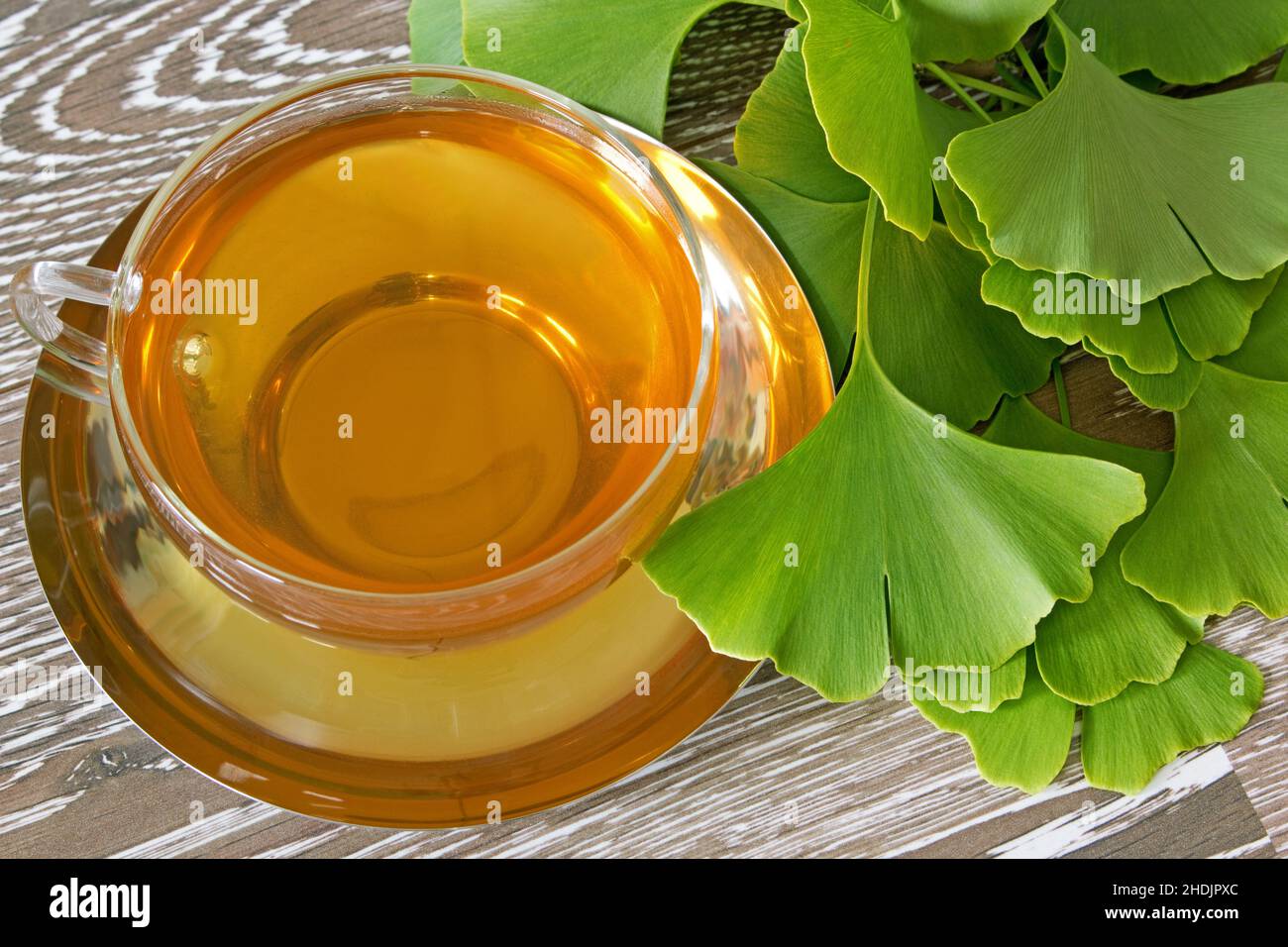 ginkgo, gingko tea, ginkgos, gingko teas Stock Photo - Alamy