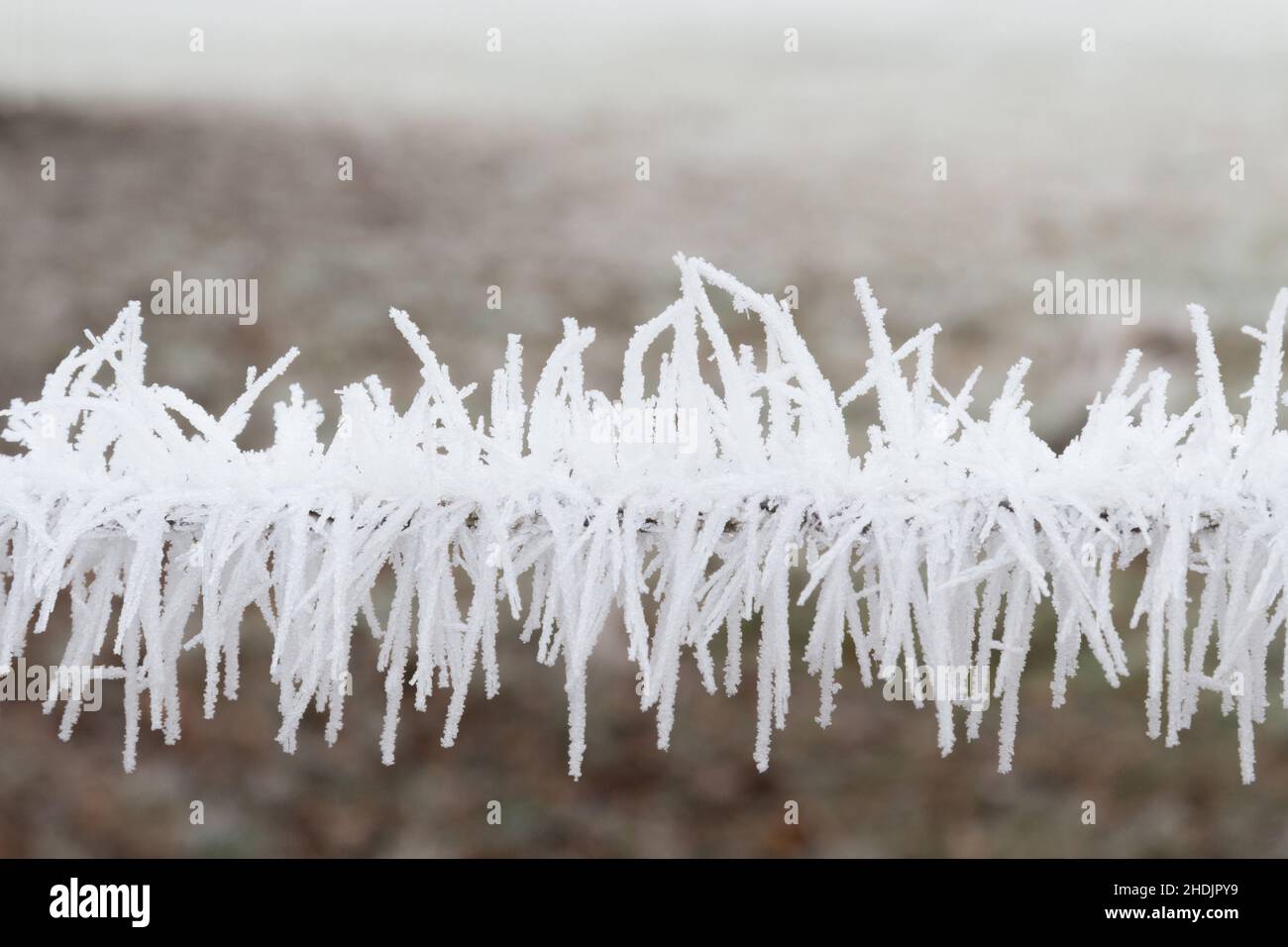 frost, rime, ice crystals, frosts, rimes, ice crystal Stock Photo - Alamy