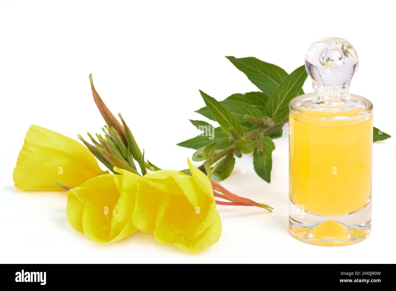 Primrose oils hi-res stock photography and images - Alamy