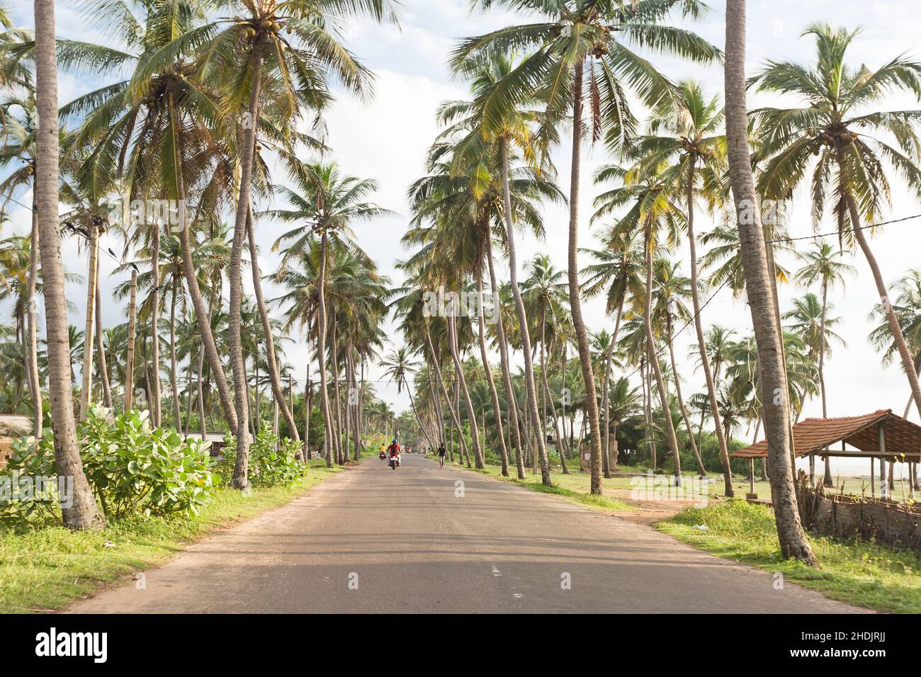 road, marawila, roads, street, streets Stock Photo - Alamy