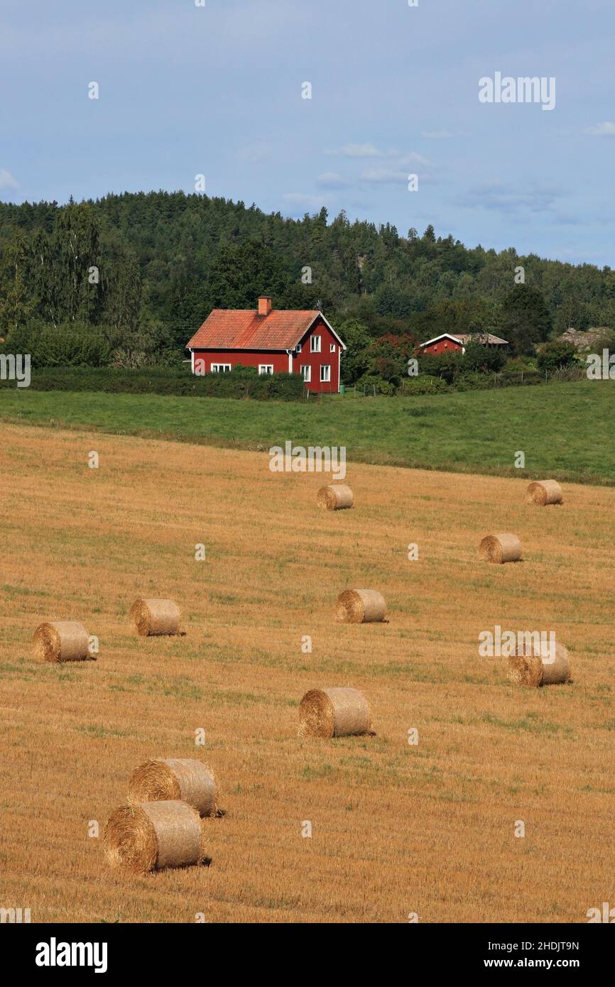 agriculture, sweden, agricultures, swedens Stock Photo - Alamy