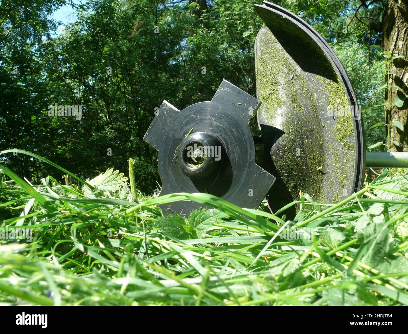 weed trimmer, string trimmer, weed trimmers, string trimmers Stock ...