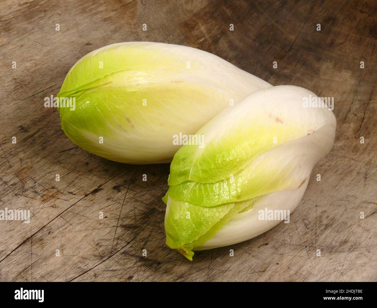 Chicories hi-res stock photography and images - Alamy