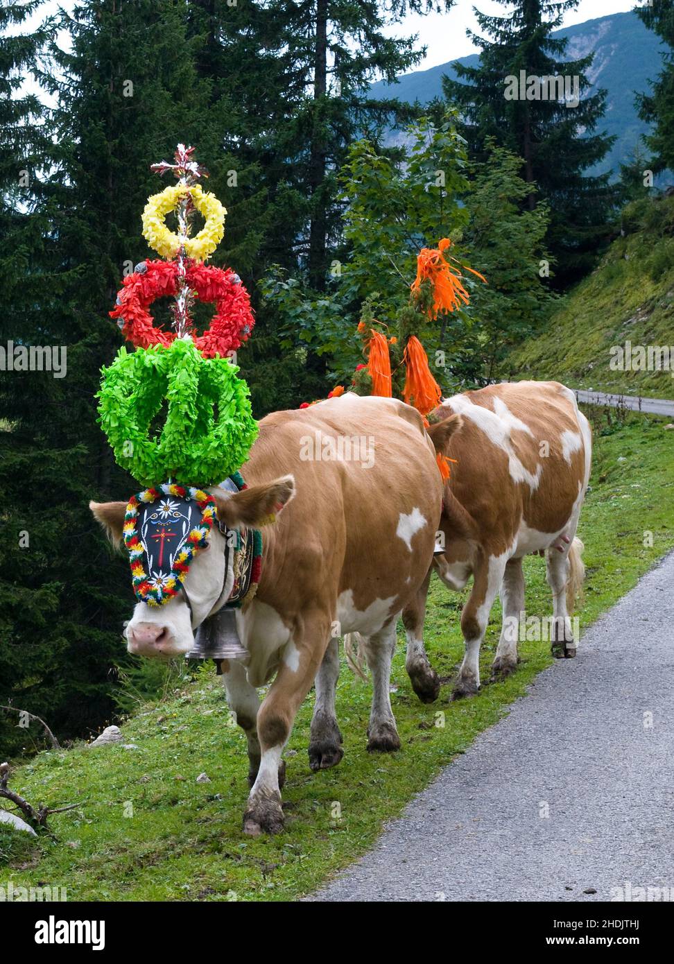 Almabtriebs hi-res stock photography and images - Alamy