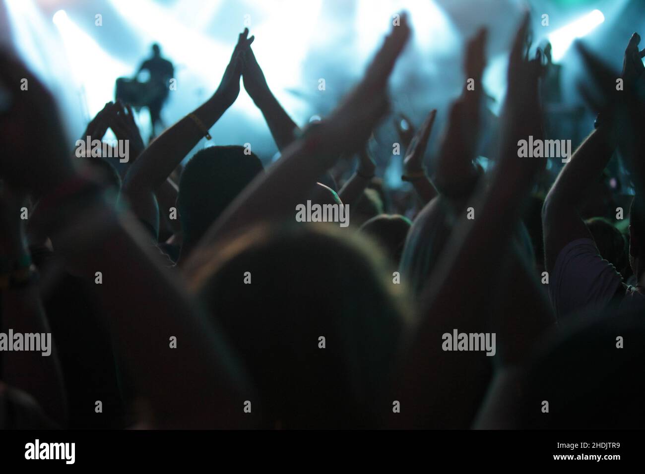 nightlife, concert, audience, nightlifes, parties, party, party nights ...