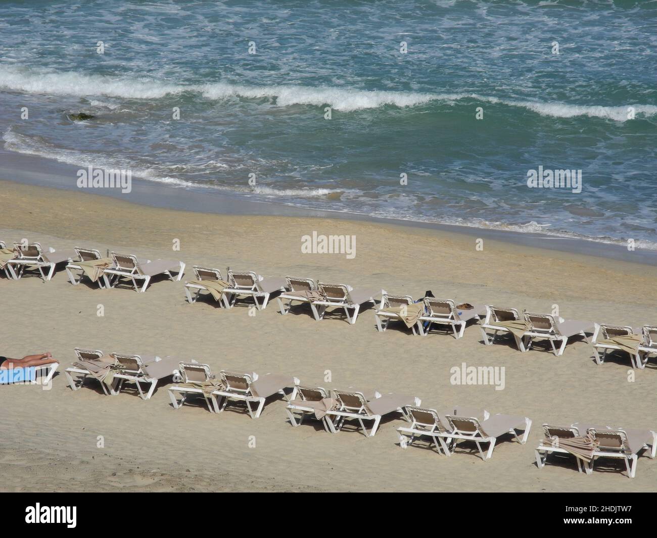 beach, deckchairs, sunbathing, beaches, seaside, sun tanning, sunbaking ...