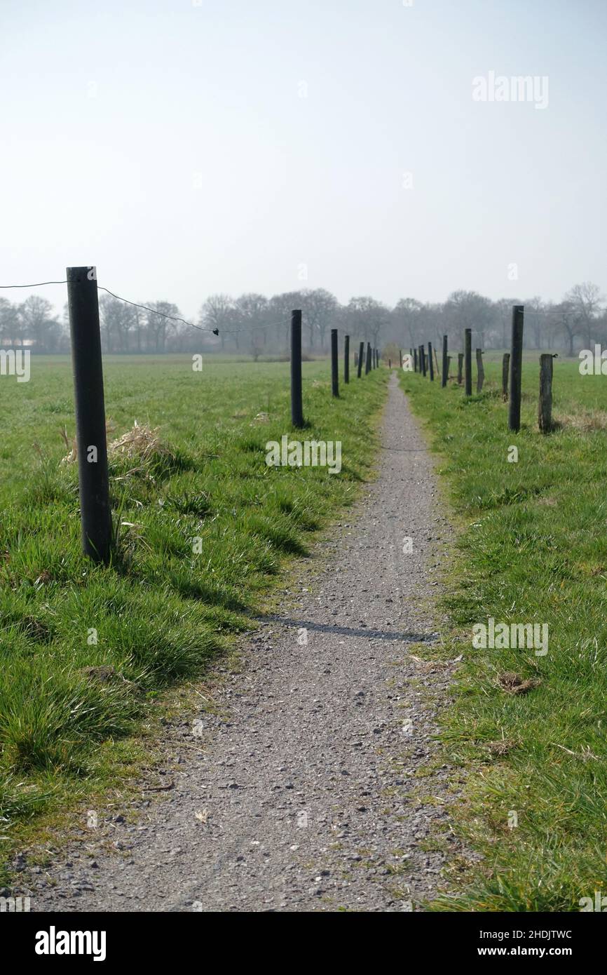 footpath, fence, paddock, footpaths, fences, paddocks Stock Photo - Alamy
