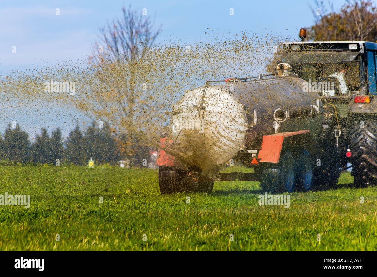 Dungs hi-res stock photography and images - Alamy