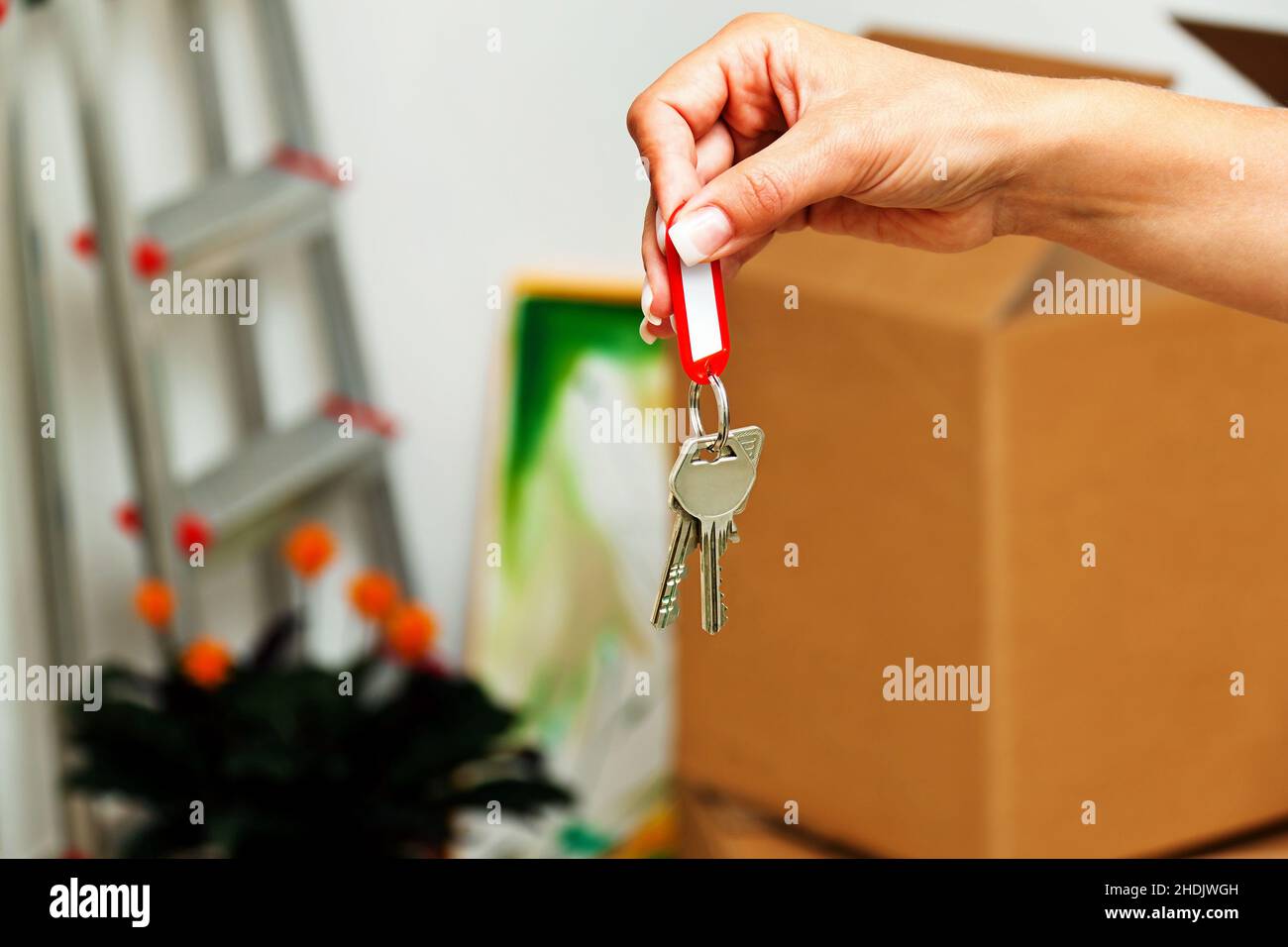 move, key handover, house key, moving, relocations, key handovers ...