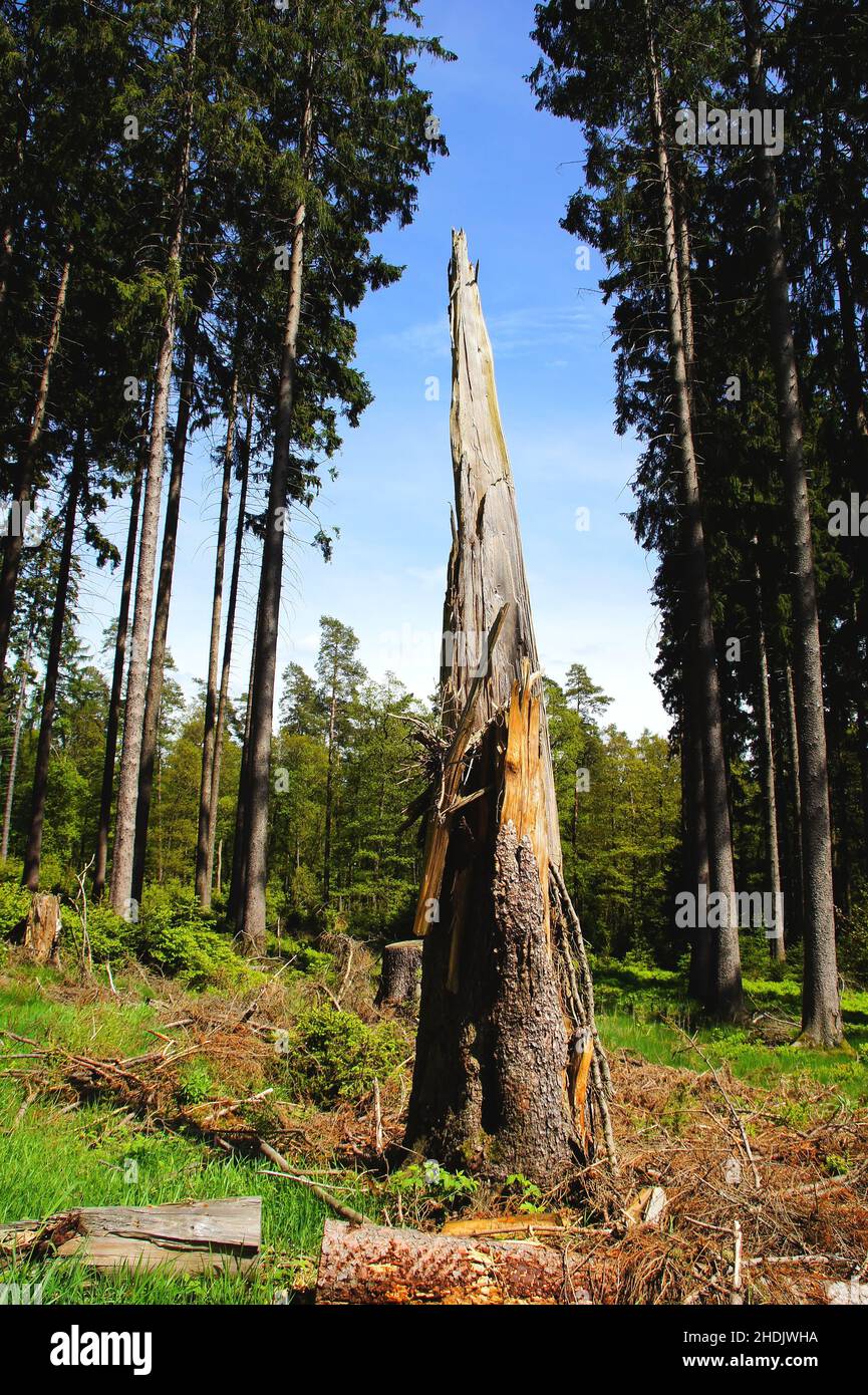 Canceleds hi-res stock photography and images - Alamy