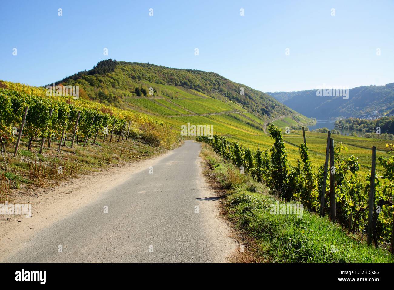 street, vineyard, road, roads, streets, vineyards Stock Photo - Alamy