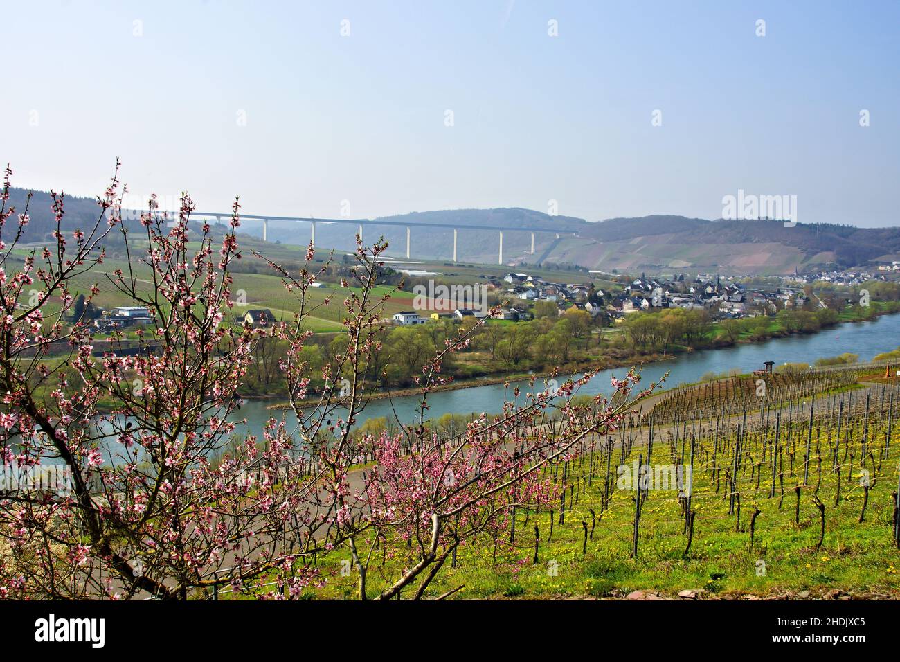 High mosel bridge hi-res stock photography and images - Alamy