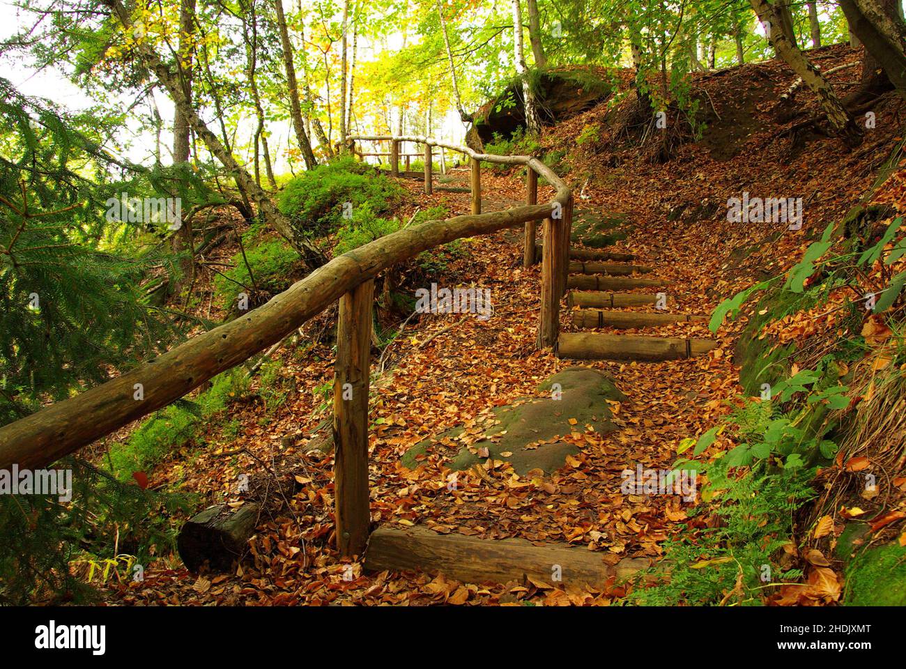 staircase, path, trail, staircases, stairs, paths, trails Stock Photo ...