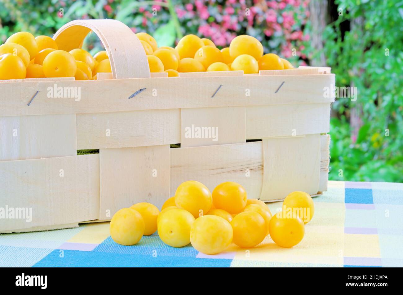 fruit, mirabelle, fruits, mirabelles Stock Photo - Alamy