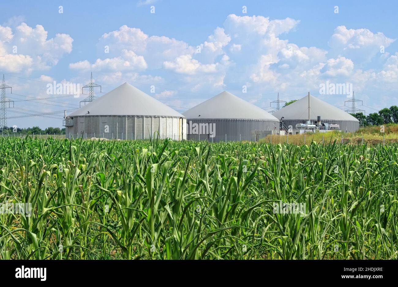 energy generation, biogas, biogas plant, energy generations, biogas ...