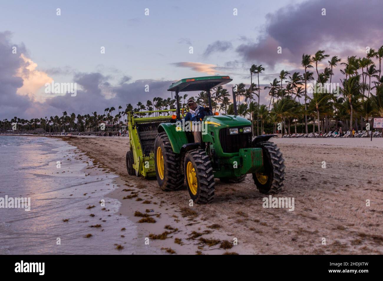 PUNTA CANA, DOMINICAN REPUBLIC - DECEMBER 8, 2018: Seaweed cleaning at ...