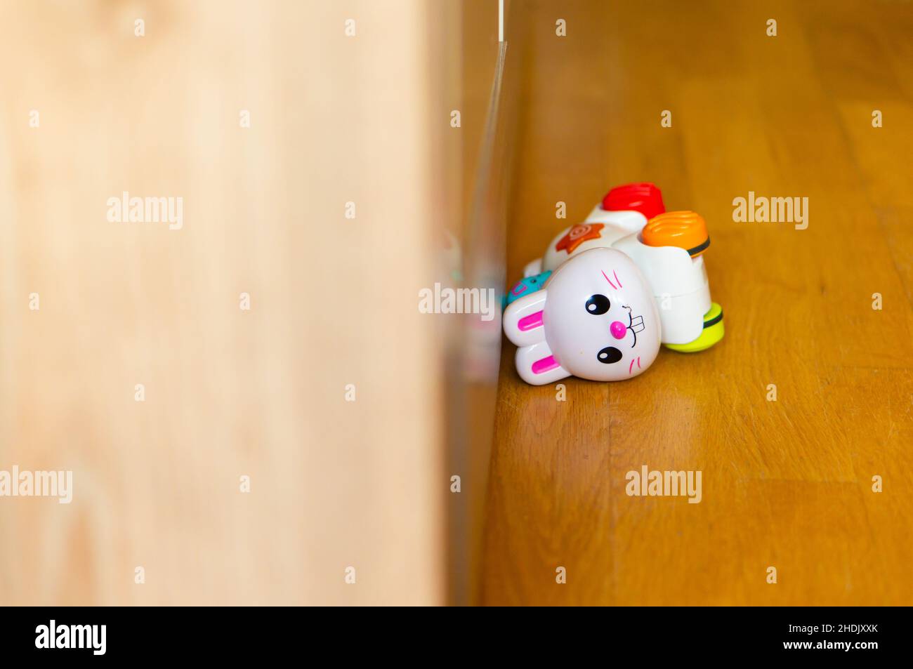 Rabbit on the floor hi-res stock photography and images - Alamy