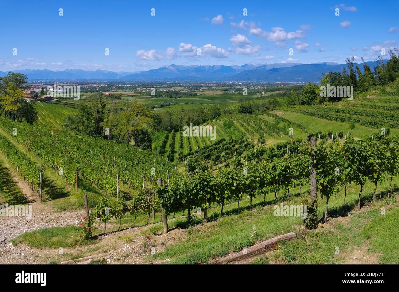 Manzano hi-res stock photography and images - Alamy