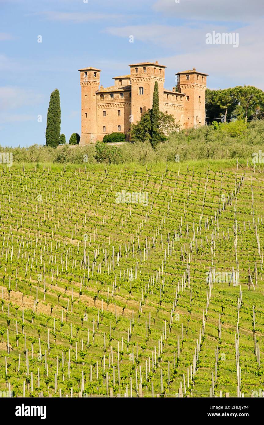 vineyard, castle, vineyards, kastells Stock Photo - Alamy
