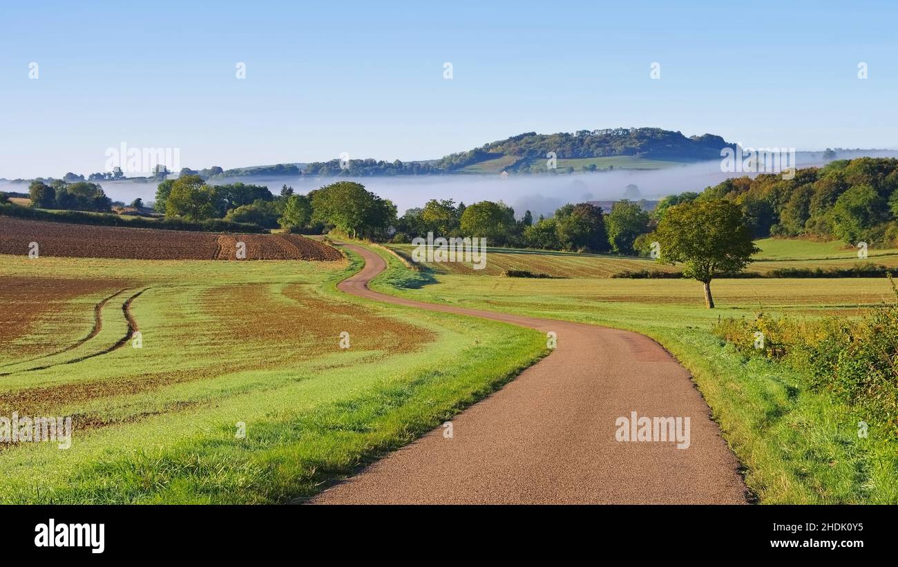 rural scene, road, burgundy, country, country life, rural, rural scenes ...