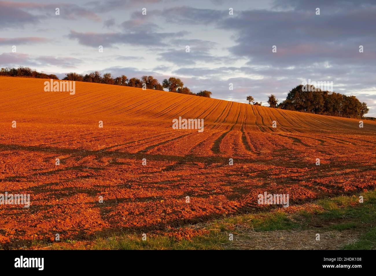 field, arable, fields, arables Stock Photo - Alamy