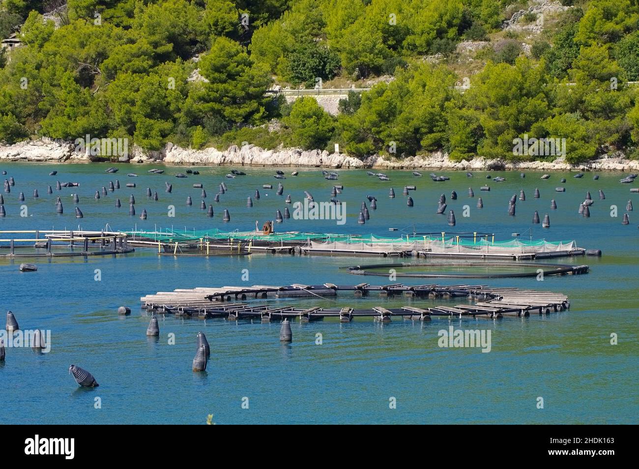 fish farm, aquaculture, fish production, fish farms, aquacultures Stock ...