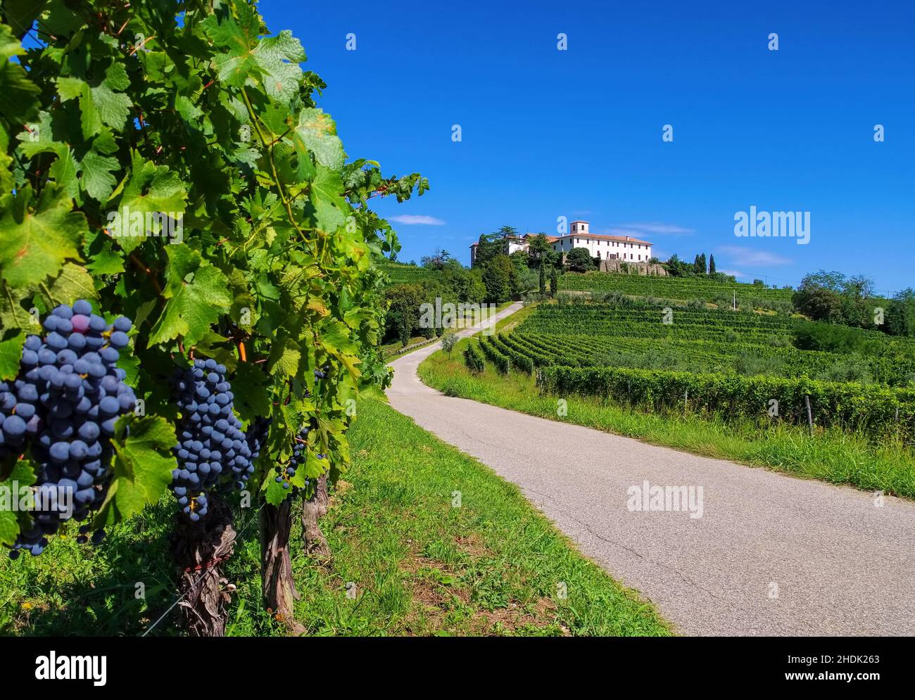 Friaul hi-res stock photography and images - Alamy