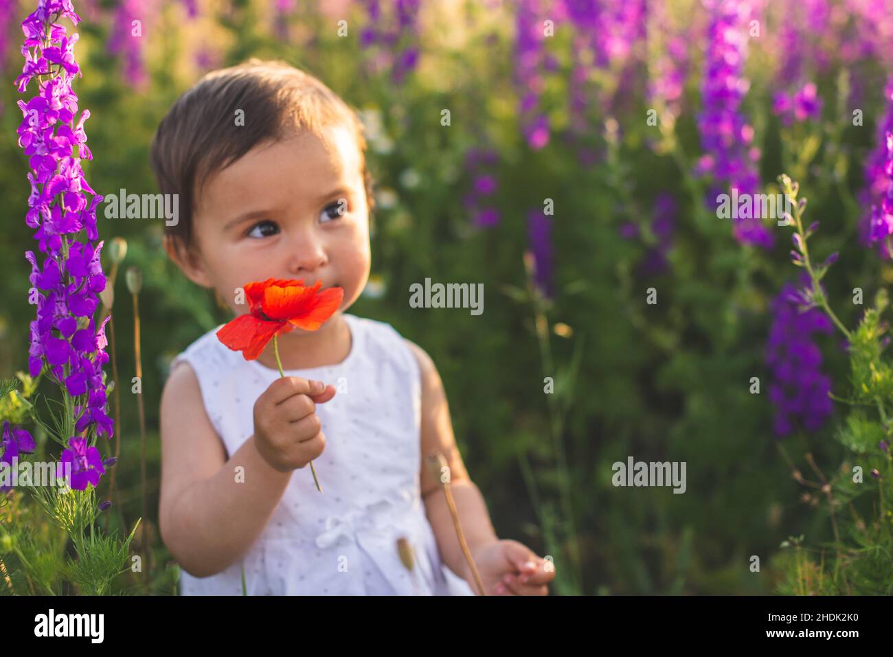 Emotional child outdoor portrait of nice little girl in white dress ...