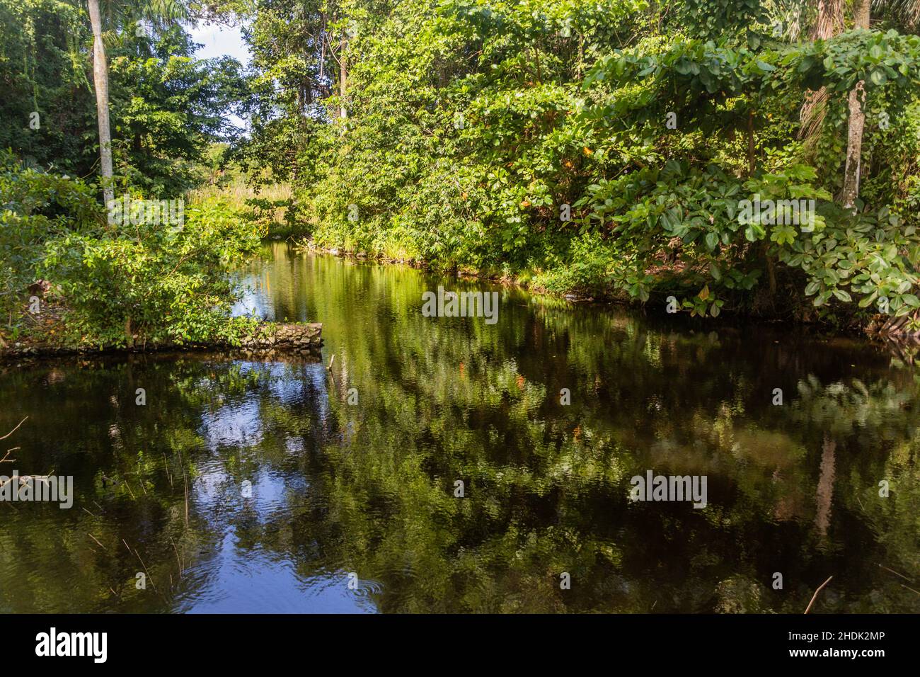Pond in the National Park El Choco near Cabarete, Dominican Republic ...
