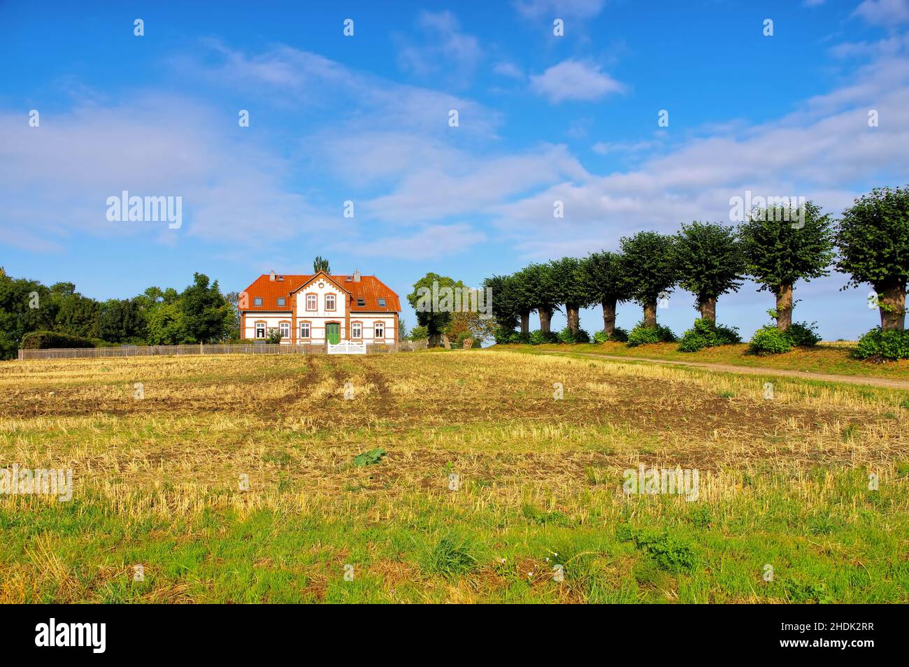 mansion, tree alley, mansions, tree alleys Stock Photo - Alamy
