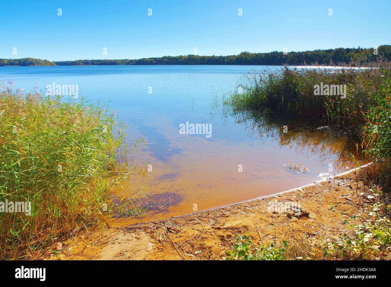 Germany senftenberg lake hi-res stock photography and images - Alamy