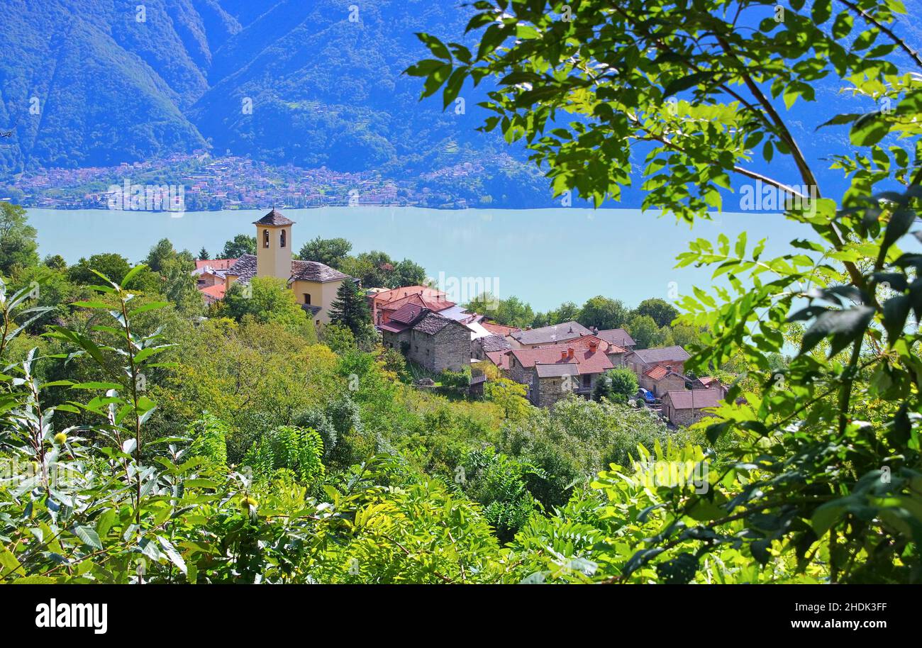 Lombardies hi-res stock photography and images - Alamy
