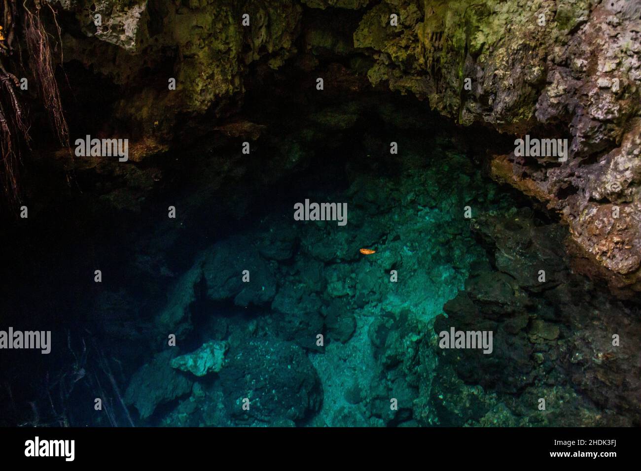 Pond in a cave in the National Park El Choco near Cabarete, Dominican ...